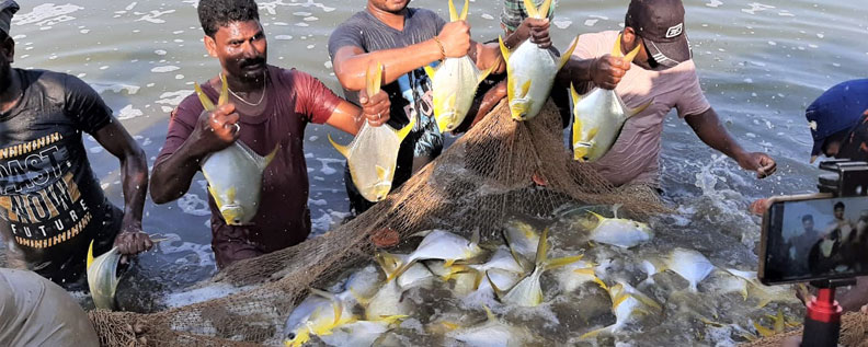 Central Marine Fisheries Research Institute | Home