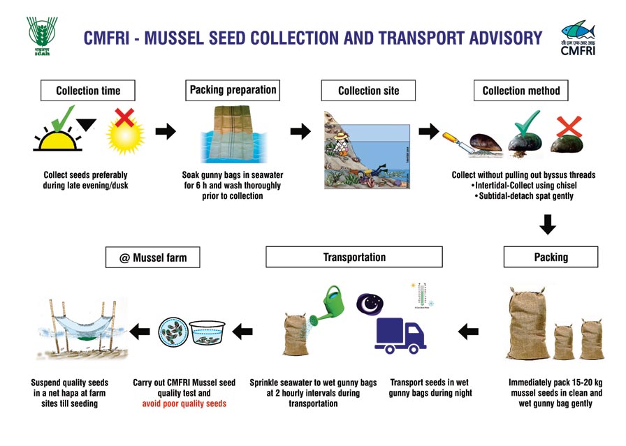 Central Marine Fisheries Research Institute | Home